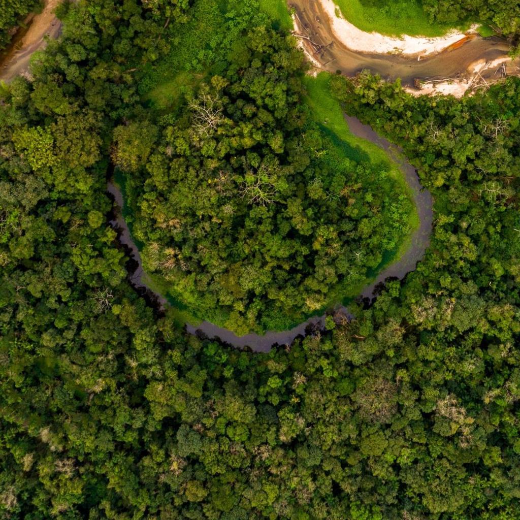 Ahead of COP30: Navigating risks and investor stewardship in Brazil’s commodity trade | Blog ...