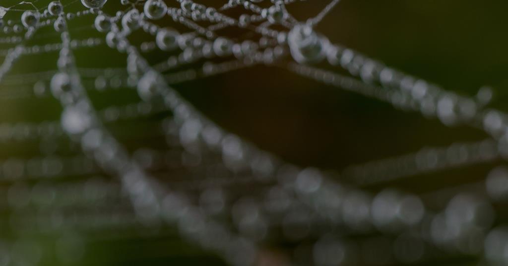 Net Zero Policy Matters: Assessing progress and taking stock of ...