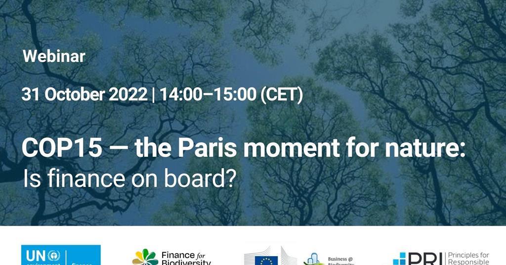 COP 15 — the ‘Paris moment for nature’: Is finance on board? | Webinar ...