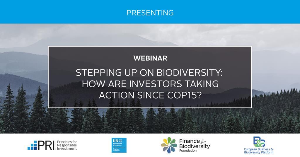 Stepping up on biodiversity: how are investors taking action since COP15? | Webinar | PRI