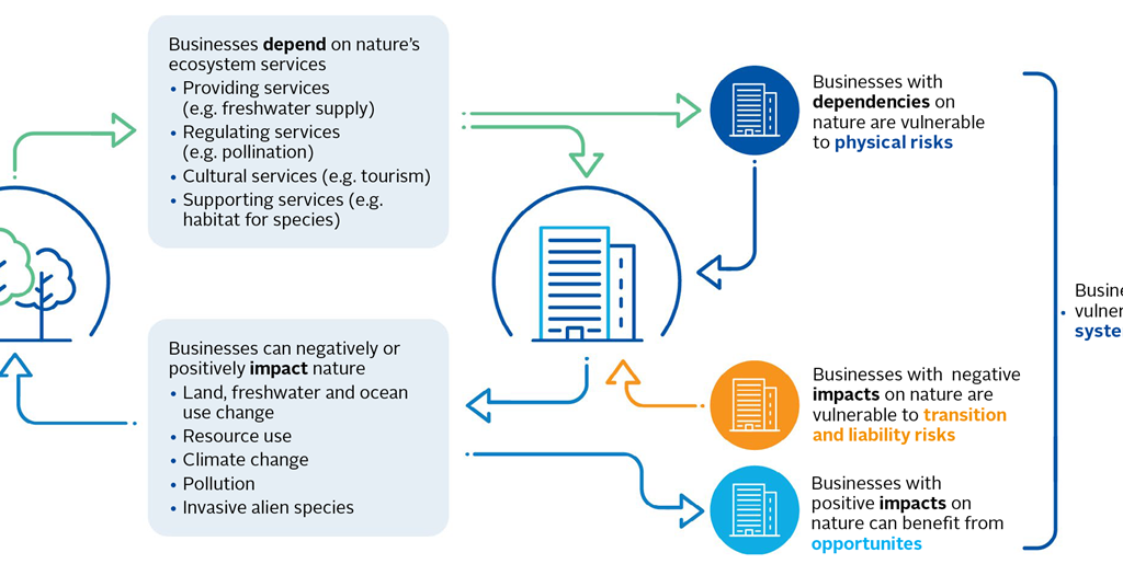 Developing a biodiversity policy: a technical guide | PRI