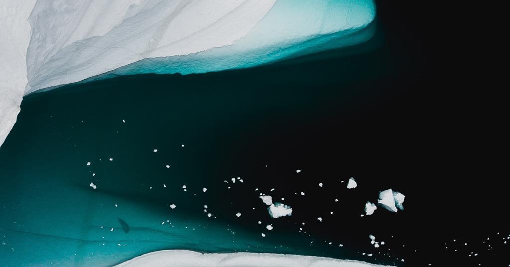 The PRI at COP28 | PRI Web Page | PRI