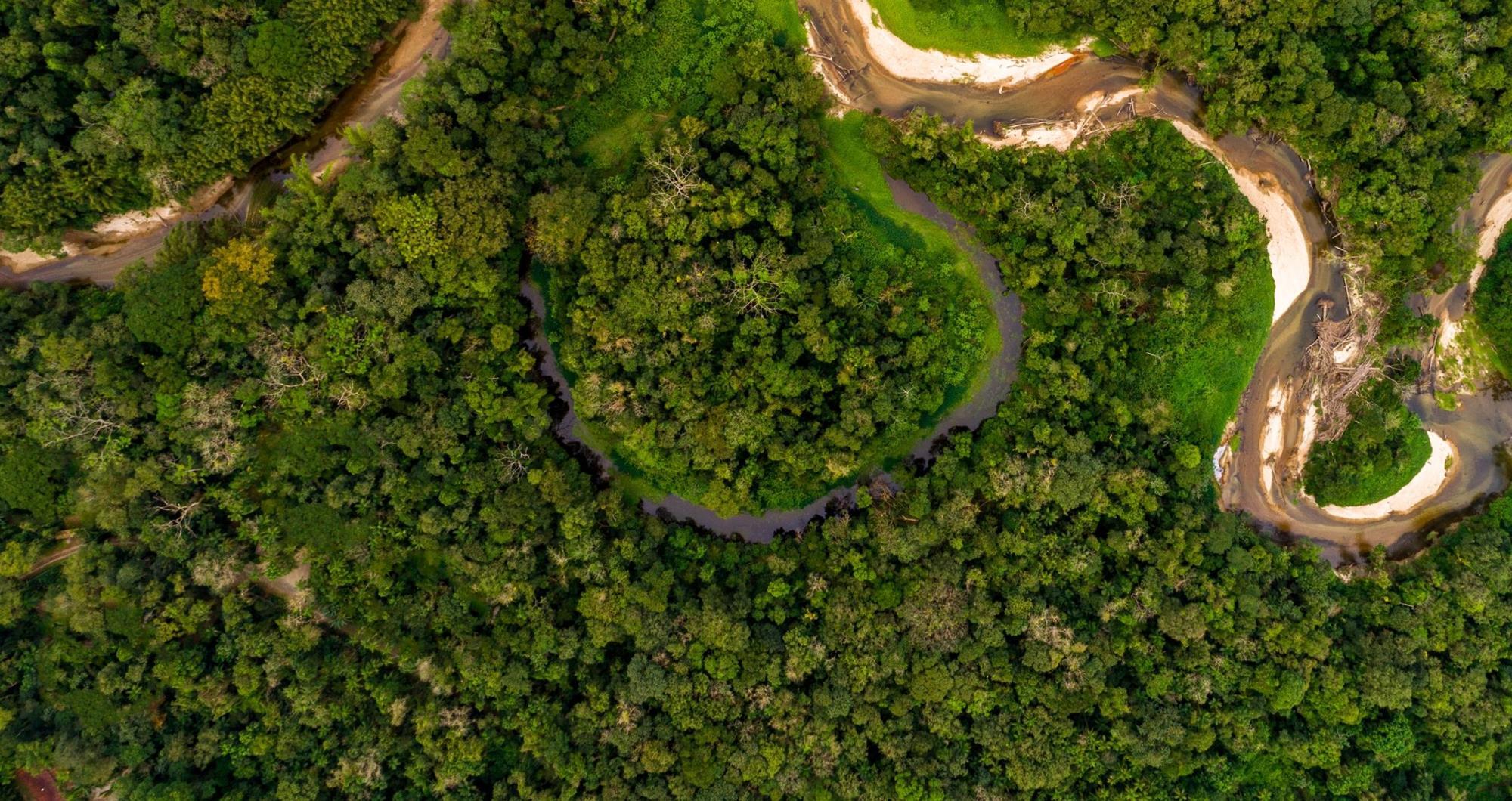 Ahead of COP30: Navigating risks and investor stewardship in Brazil’s commodity trade | Blog ...