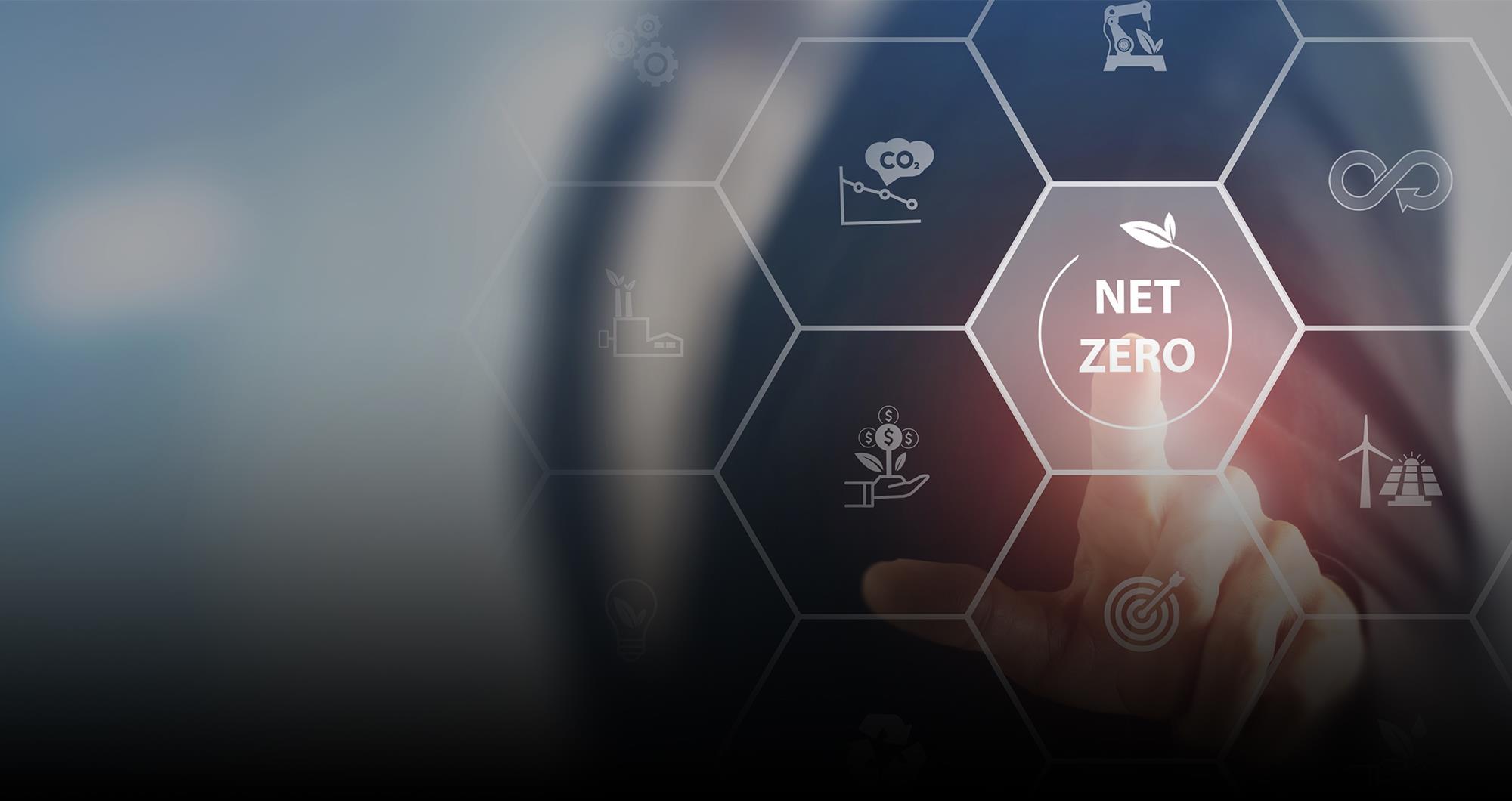 How best to implement net-zero pledges to achieve corporate ...