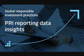Investment case database | Other | PRI