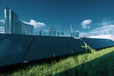 PRI | Inevitable Policy Response